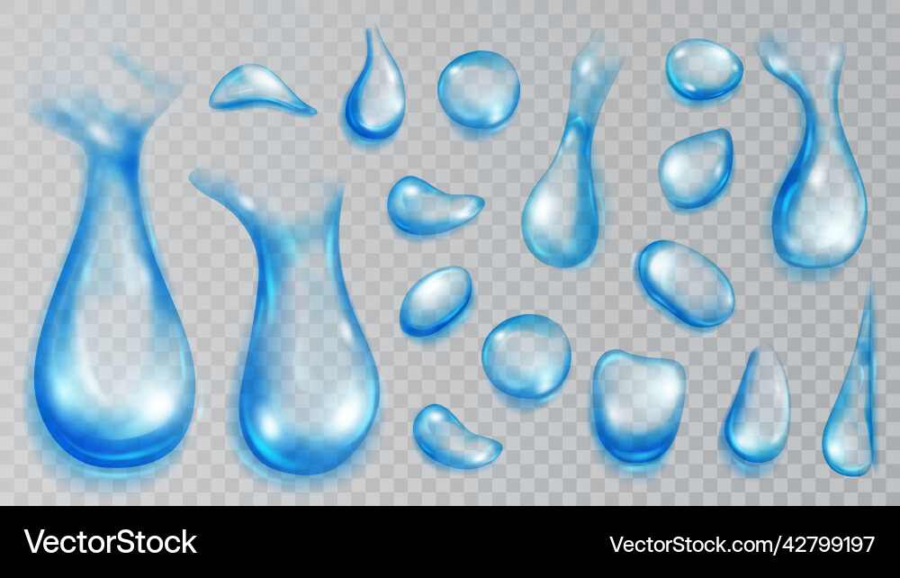 Translucent water drops Royalty Free Vector Image