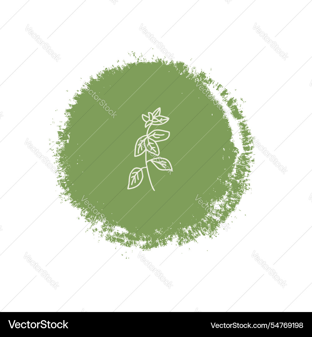 Hand Drawn Basil Culinary Herb Label Royalty Free Vector