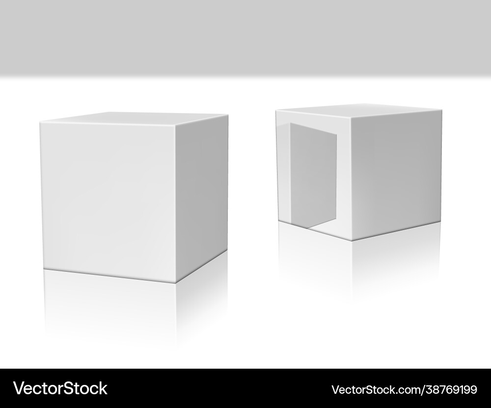 Blank box on white background with reflection Vector Image
