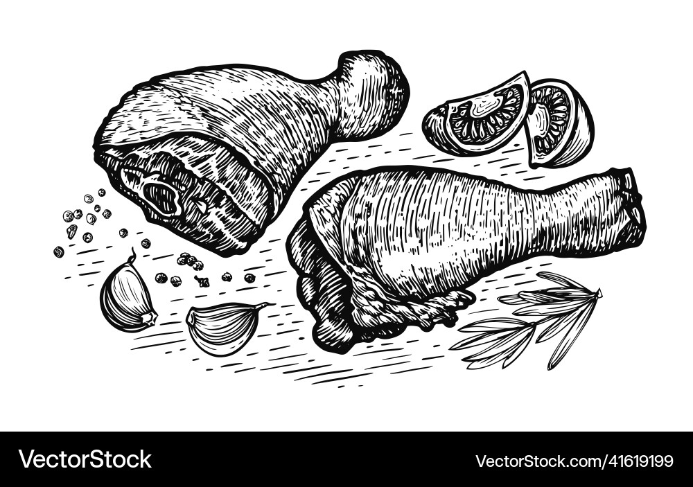 Cooking chicken legs poultry meat sketch Vector Image