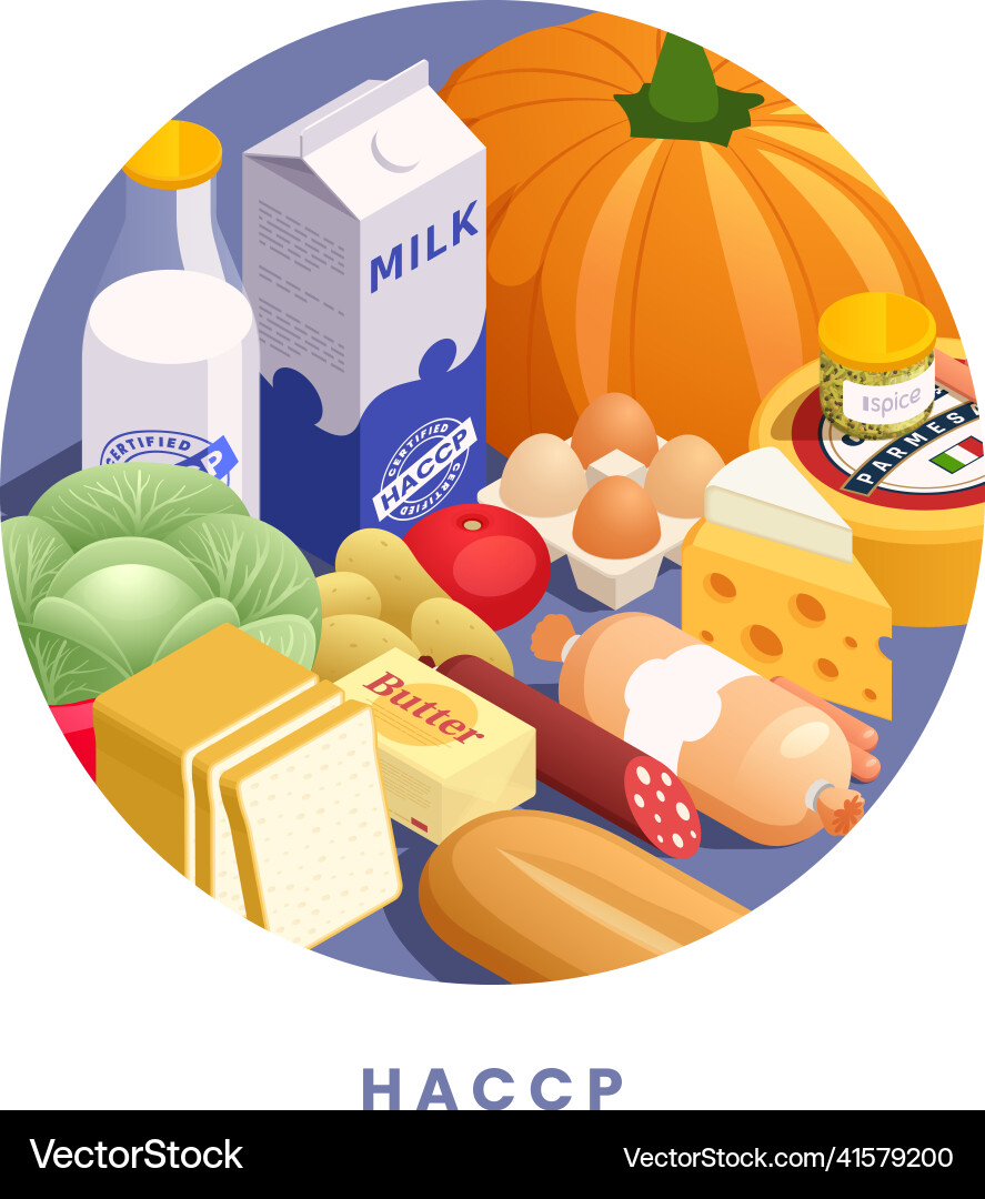 Haccp food safety concept Royalty Free Vector Image