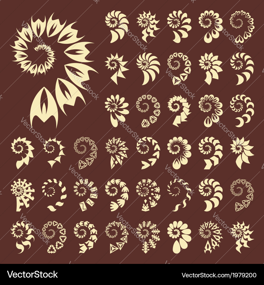 Shell collection Royalty Free Vector Image - VectorStock