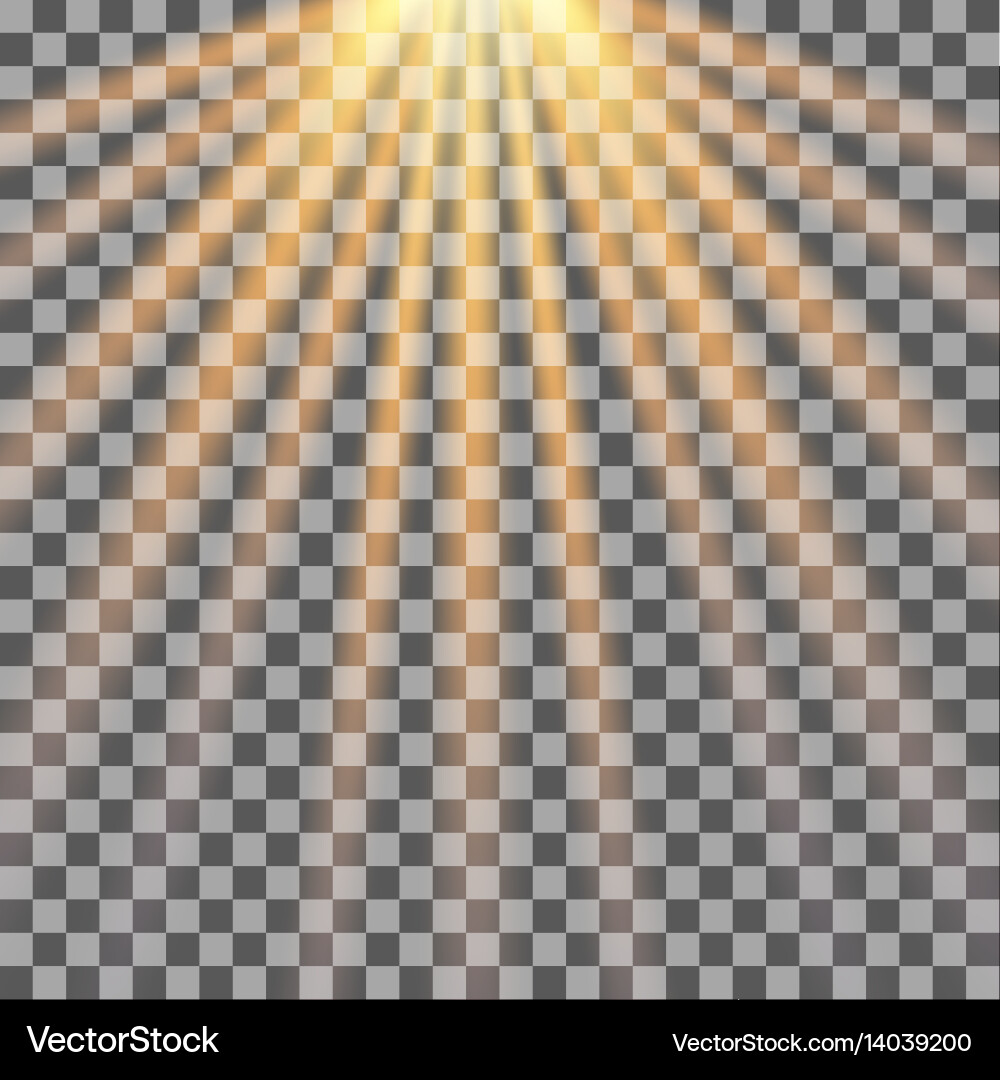 Sun rays on transparent background Royalty Free Vector Image