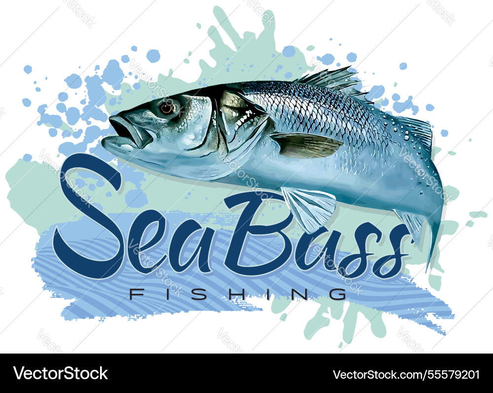 A sea bass Royalty Free Vector Image - VectorStock