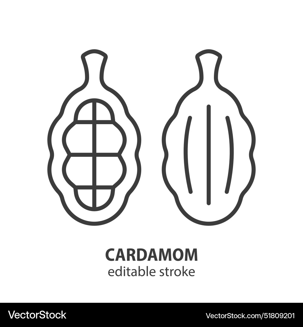 Cardamom line icon spice symbol editable stroke Vector Image