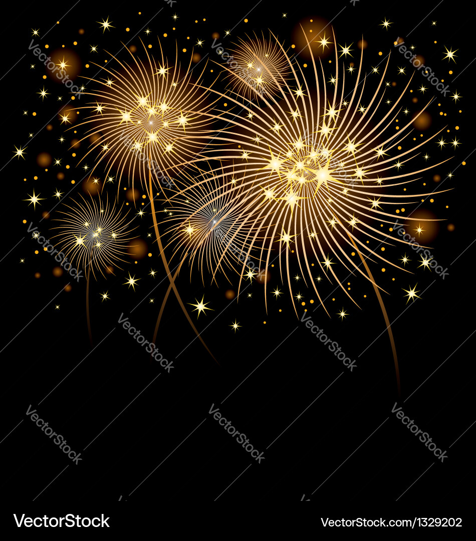 Fireworks background Royalty Free Vector Image