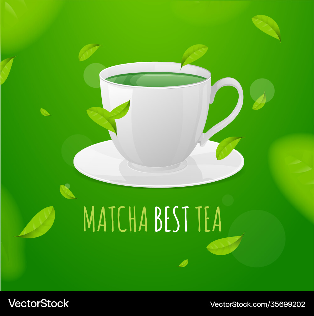 Realistic 3d detailed matcha cup with elements Vector Image
