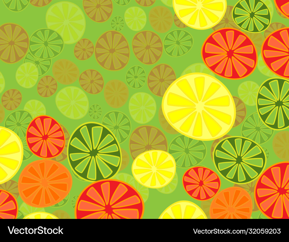 Collection citrus slices - orange lemon lime Vector Image
