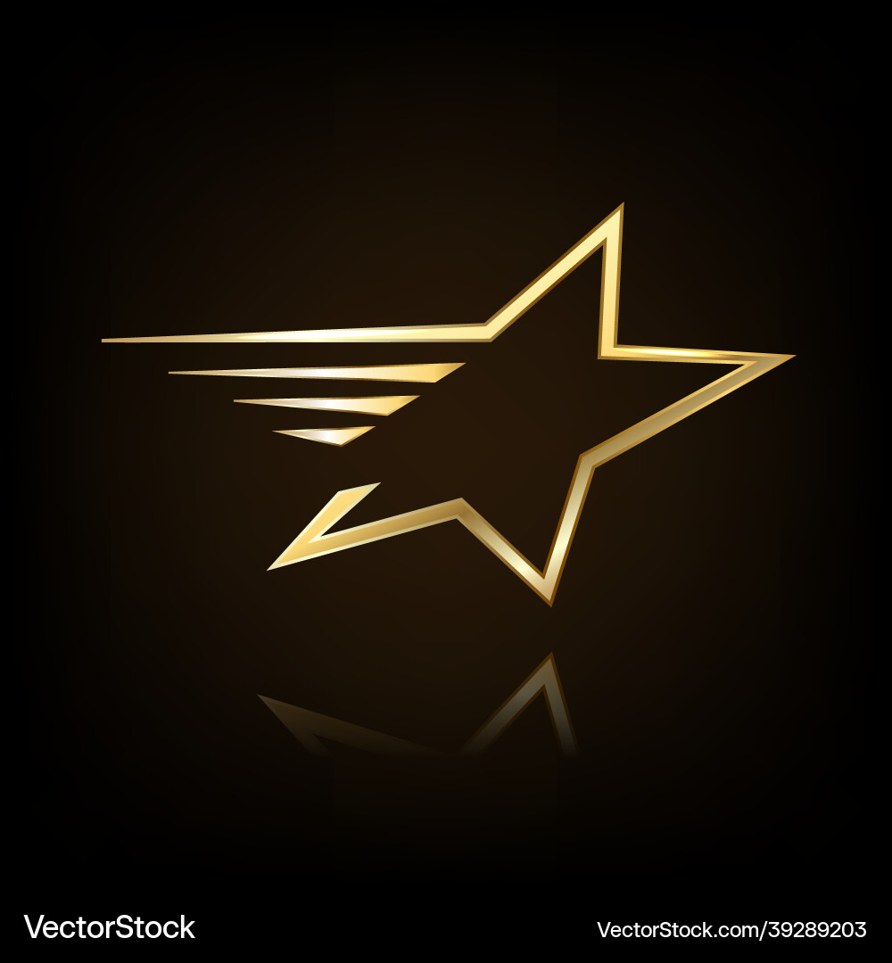 Gold star logo in elegant style Royalty Free Vector Image