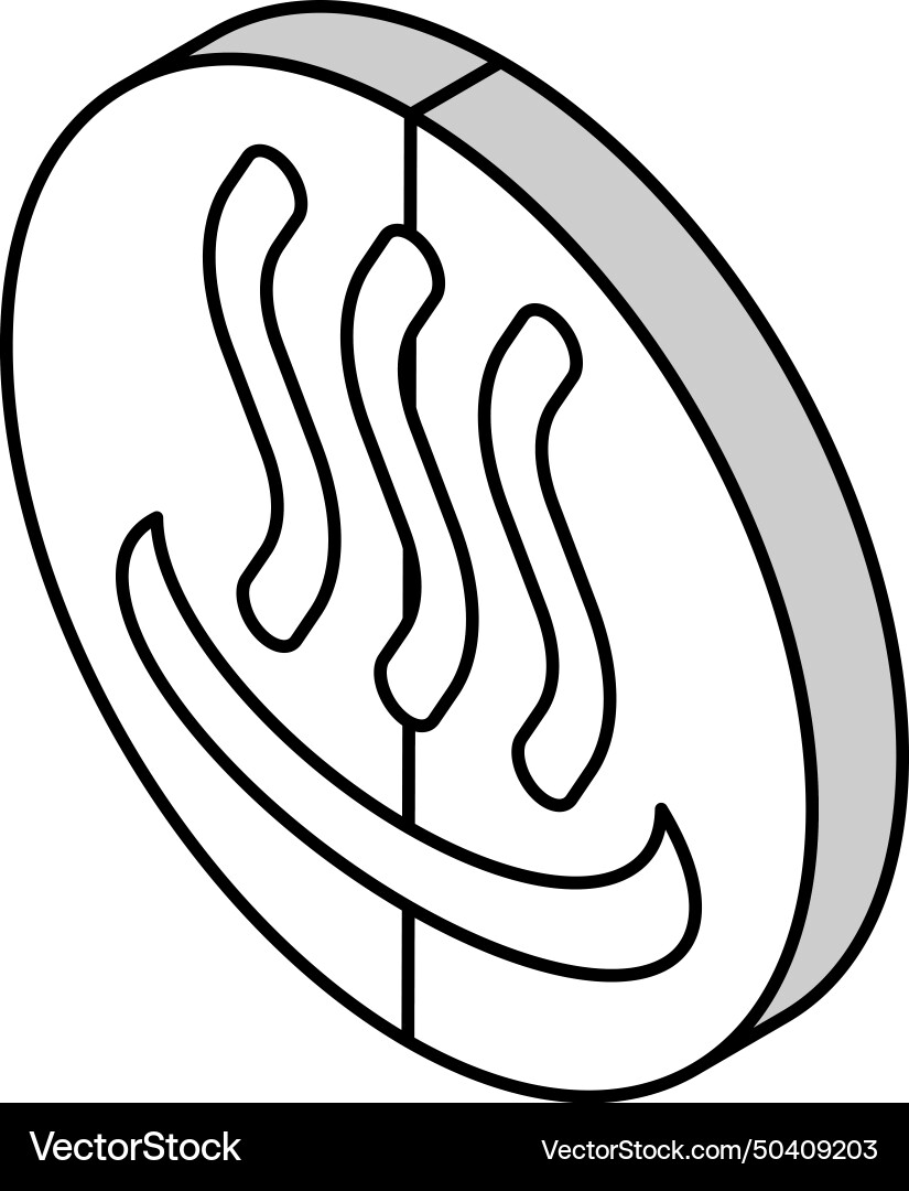 Heat symbol isometric icon Royalty Free Vector Image