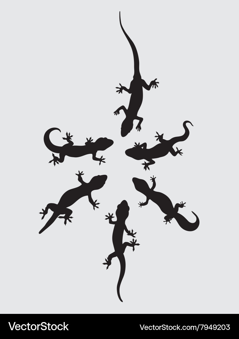 Lizard silhouette Royalty Free Vector Image - VectorStock