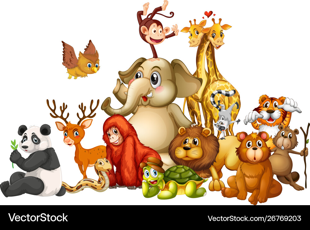 Many animals on white background Royalty Free Vector Image