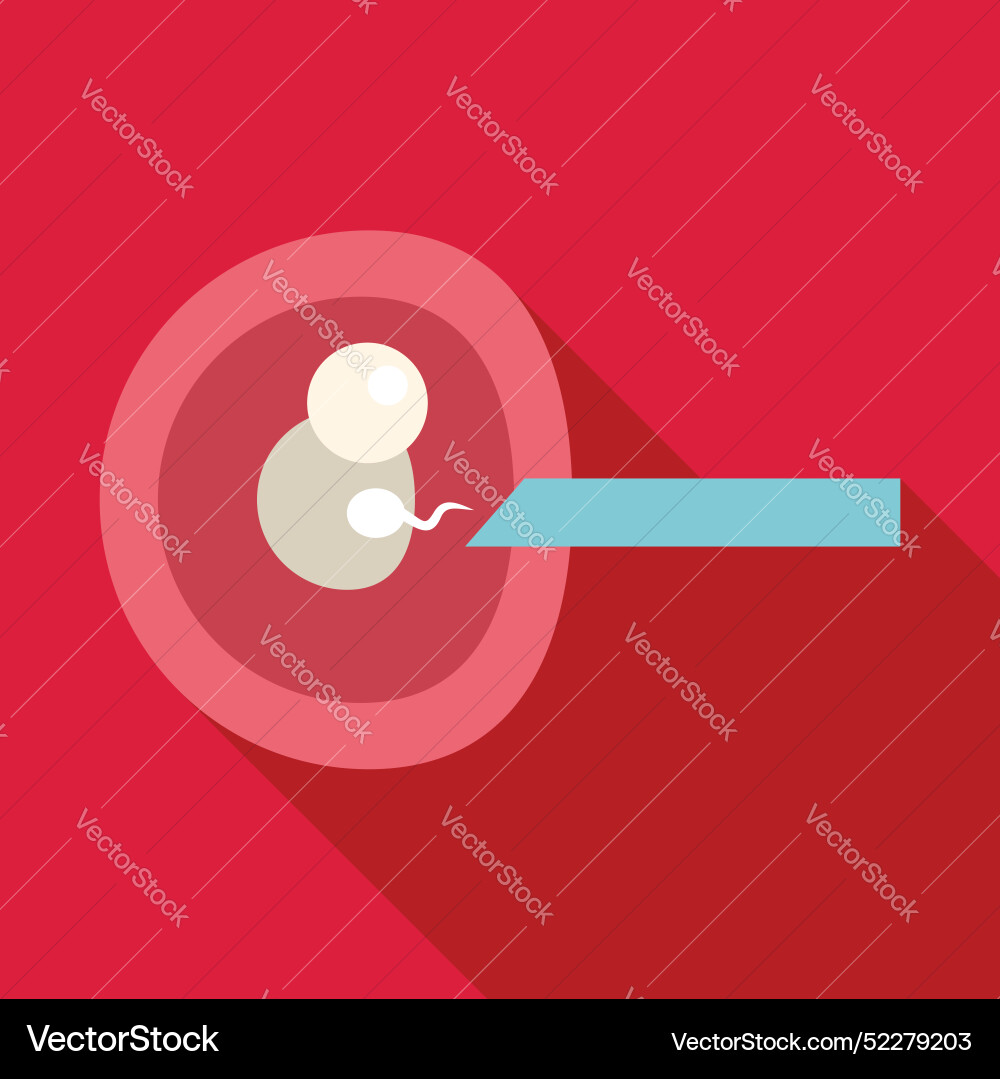 Sperm fertilizing egg cell inside fallopian tube Vector Image