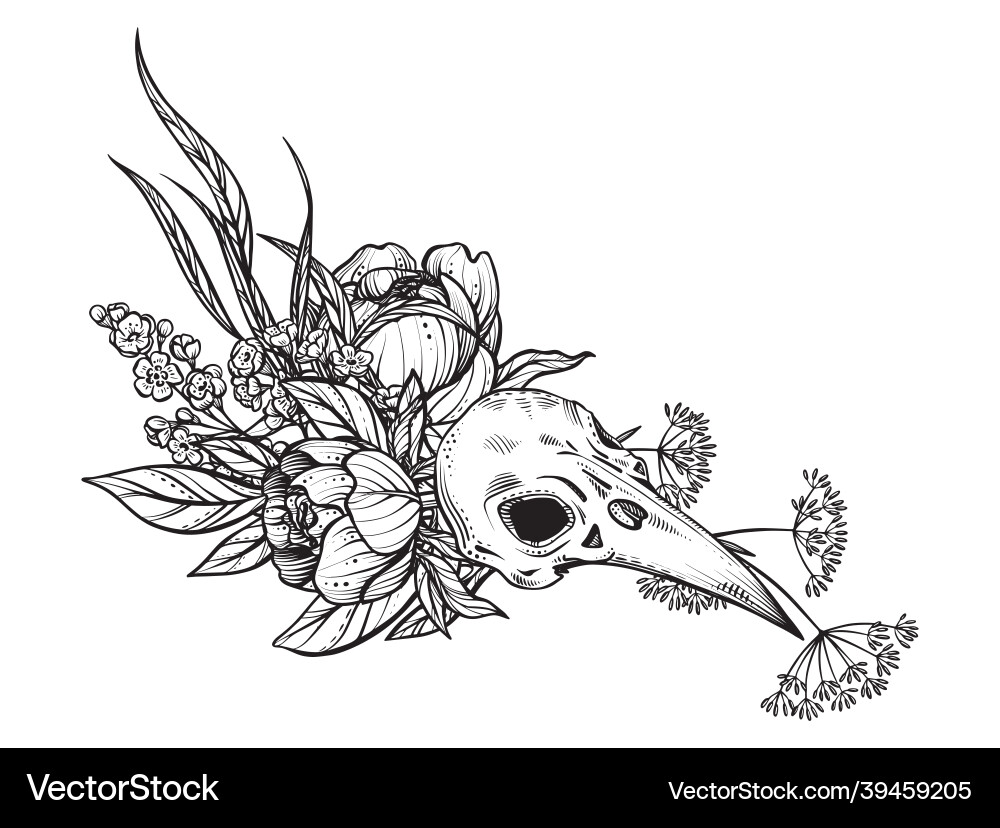 Black Bird Skull with Floral Accents Royalty Free Vector