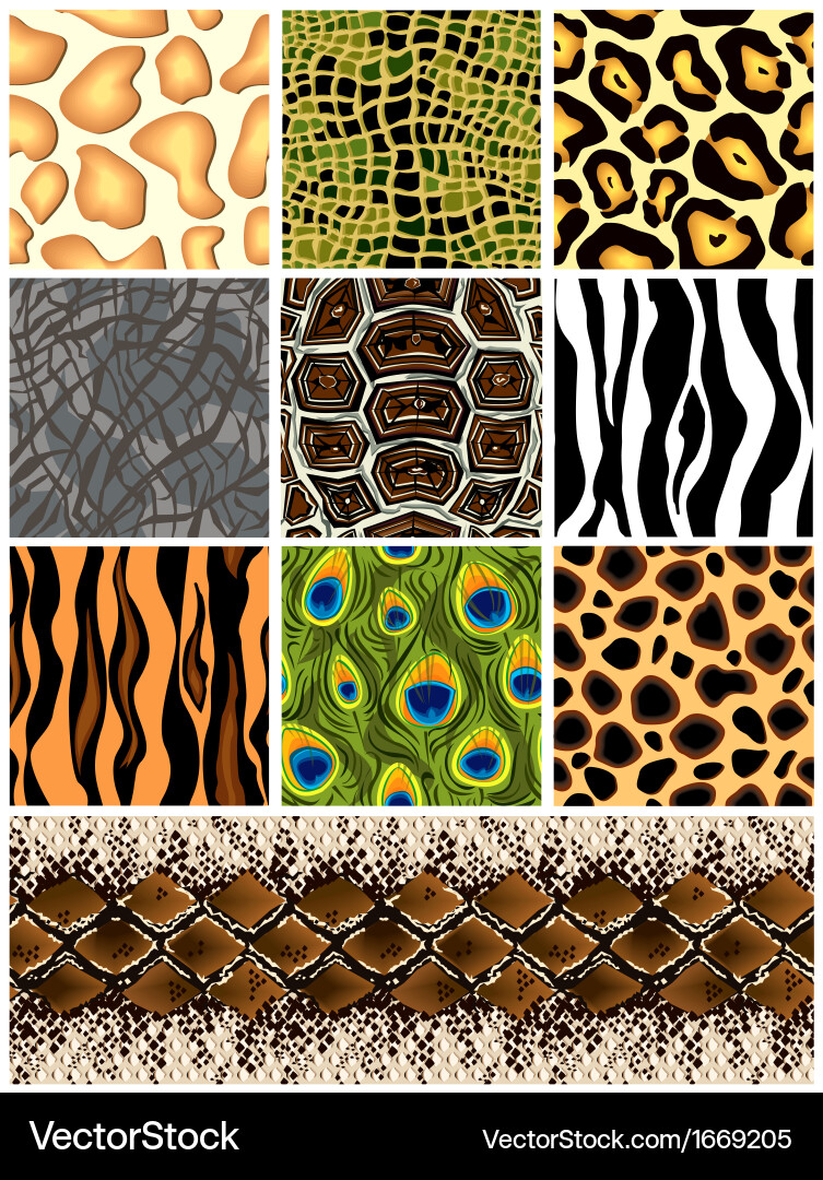 Set seamless patterns animals Royalty Free Vector Image