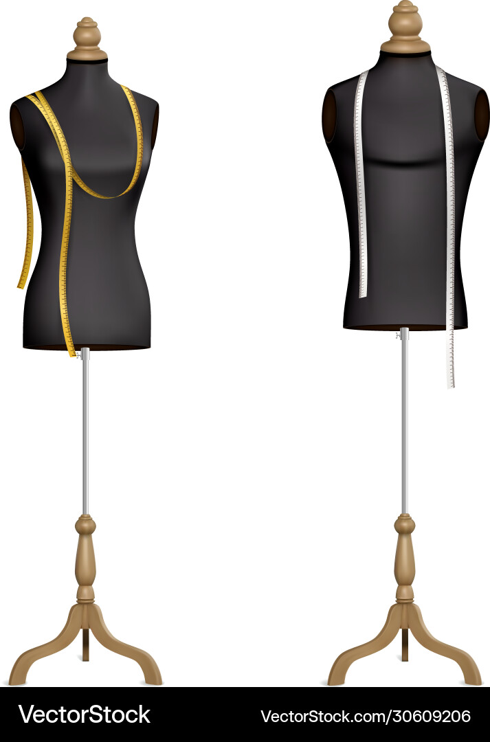 Body mannequins realistic set Royalty Free Vector Image