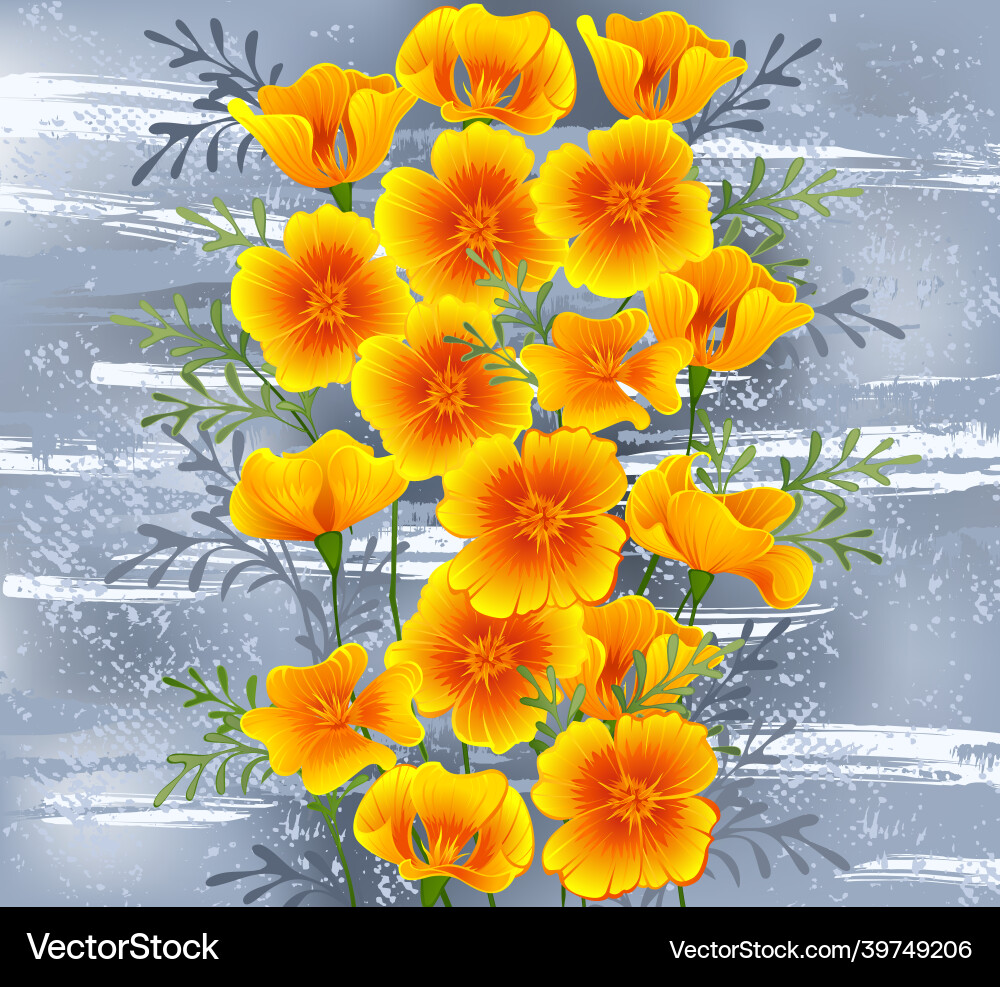 California poppy on gray background Royalty Free Vector