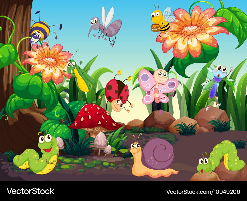 Many insects in the garden Royalty Free Vector Image