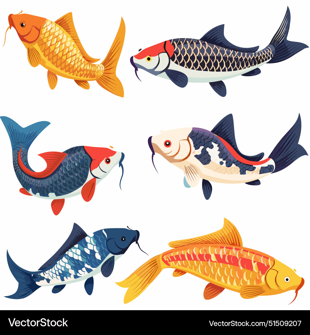 Collection colorful koi fish Royalty Free Vector Image