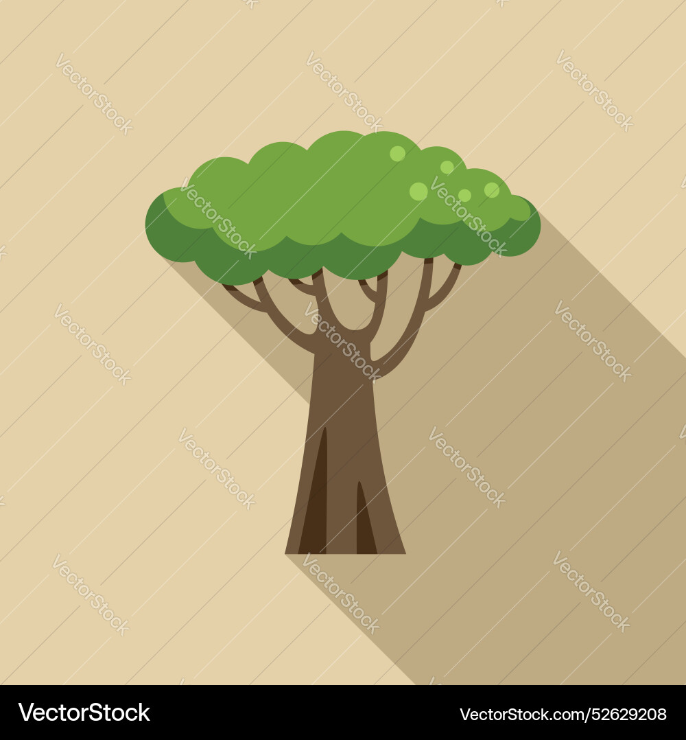 African baobab tree casting a long shadow Vector Image
