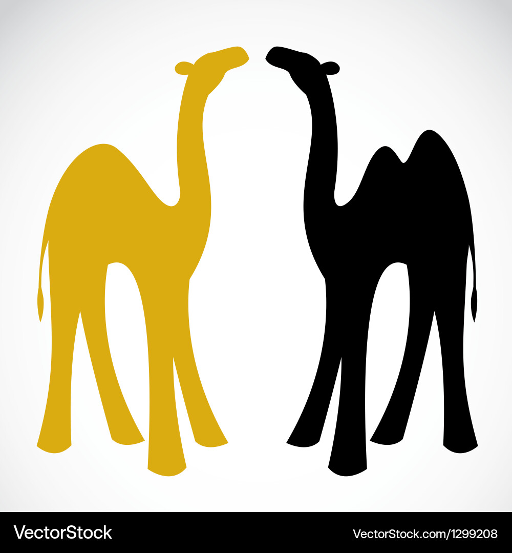 Camel Royalty Free Vector Image - VectorStock