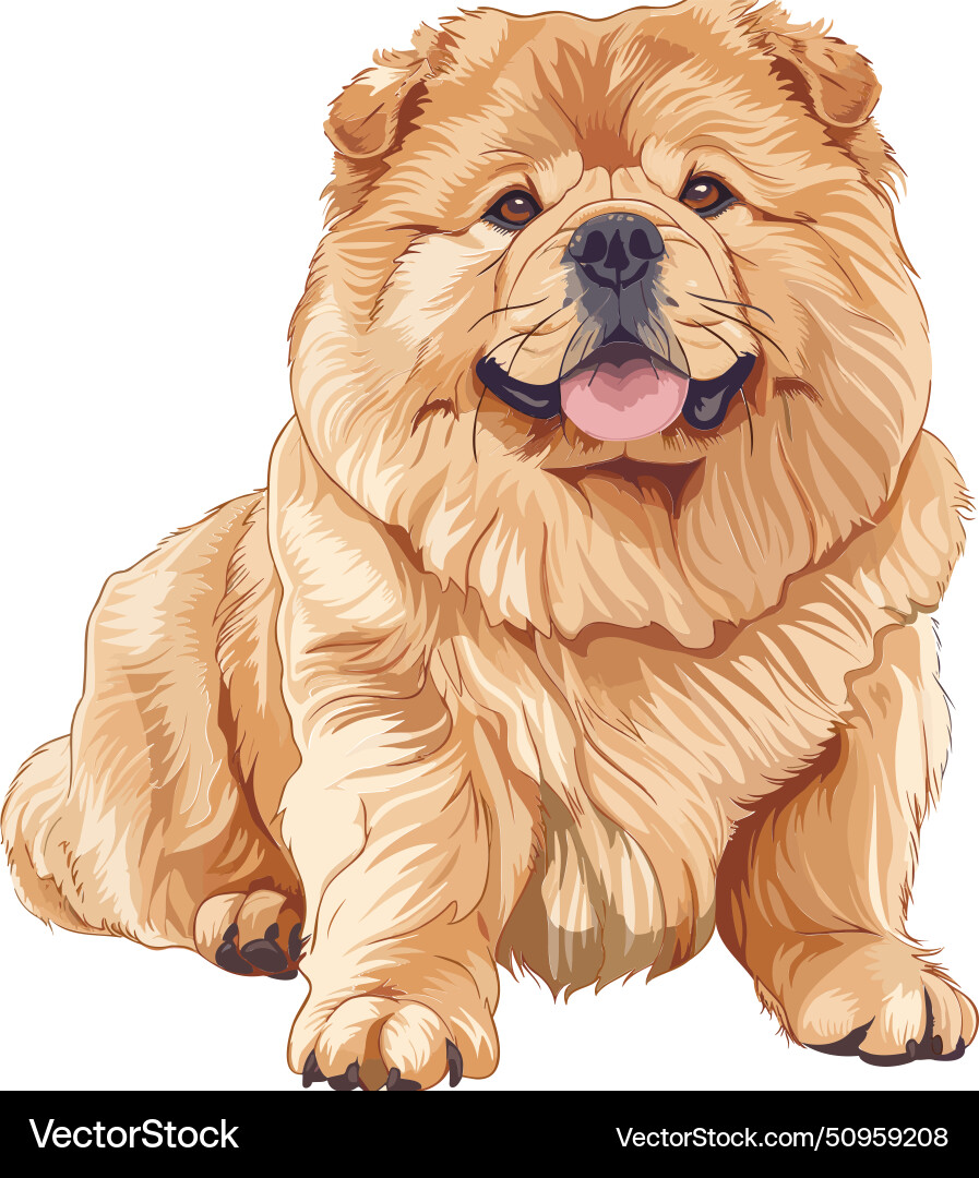 Chow chow adorable art Royalty Free Vector Image