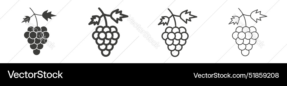 Grape icon set grapevine fruit plant symbol Vector Image