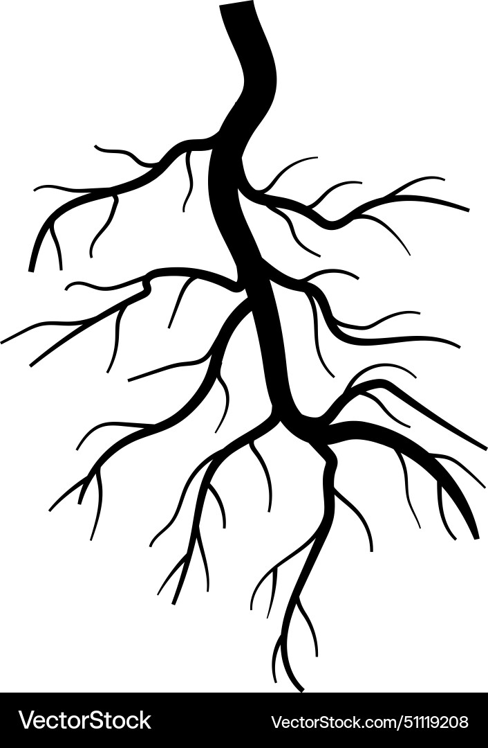 Network tree root cartoon Royalty Free Vector Image
