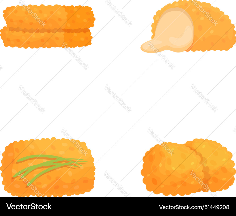 Set of crispy chicken nuggets in various Vector Image