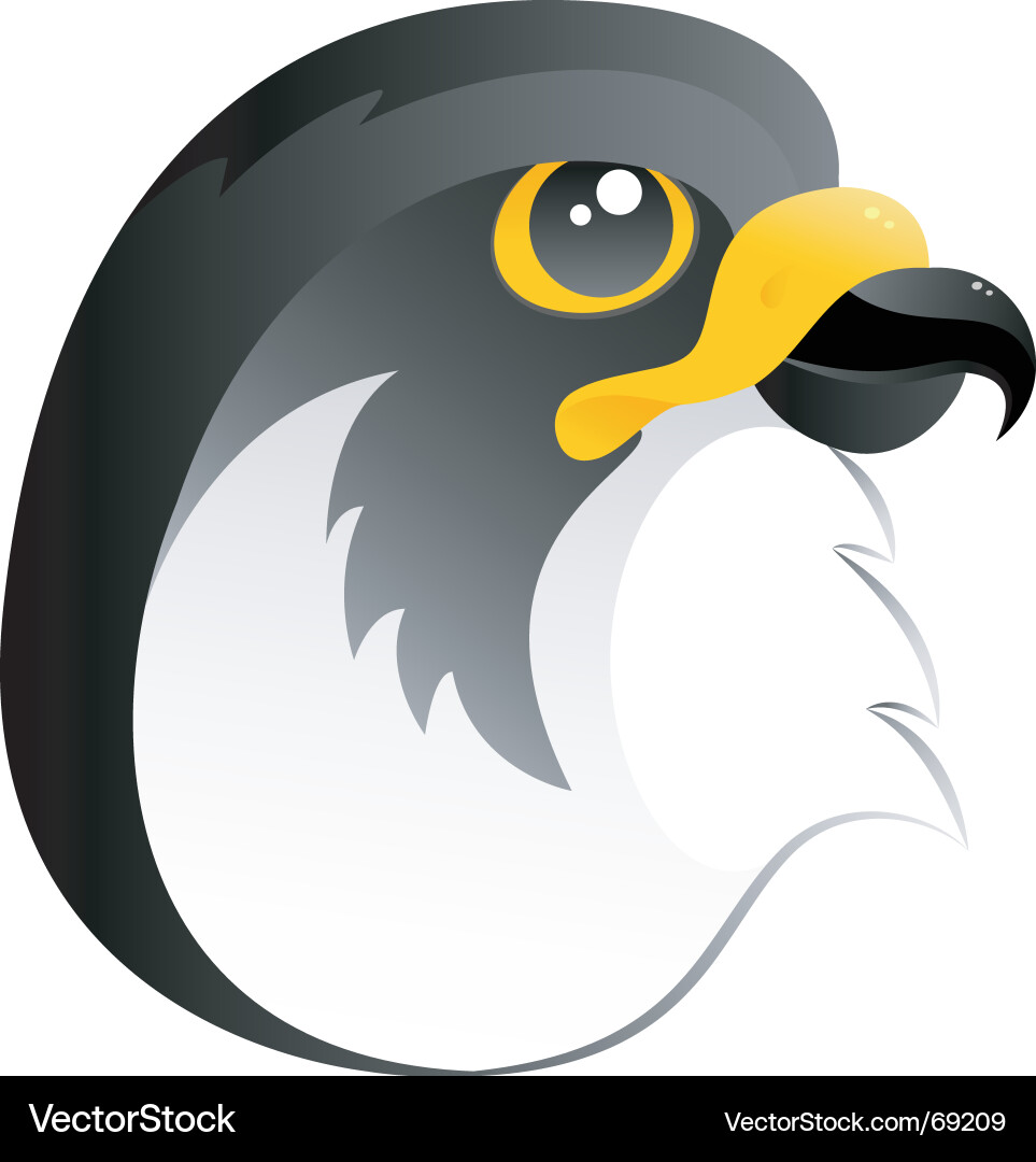 Falcon Royalty Free Vector Image - VectorStock