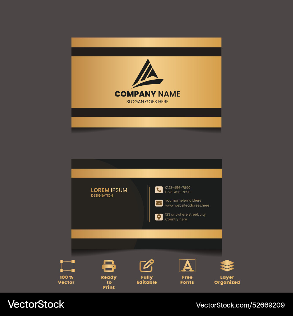 Professional and minimalist premium modern Vector Image