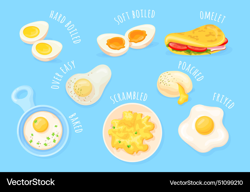 Cooking eggs method chicken egg preparations cook Vector Image