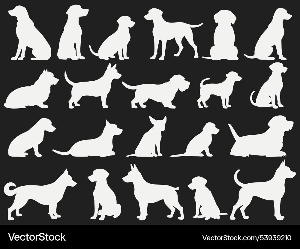 Diverse dog breed silhouettes in a clean Vector Image