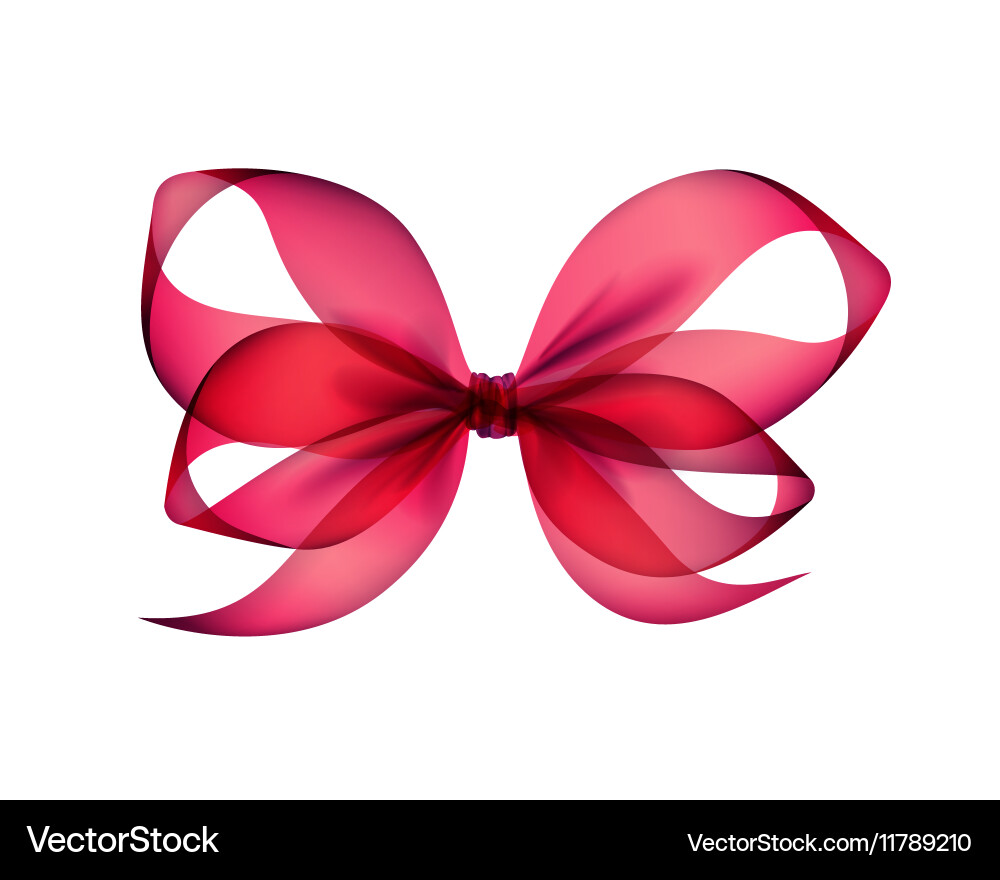 Pink transparent bow top view on white background Vector Image