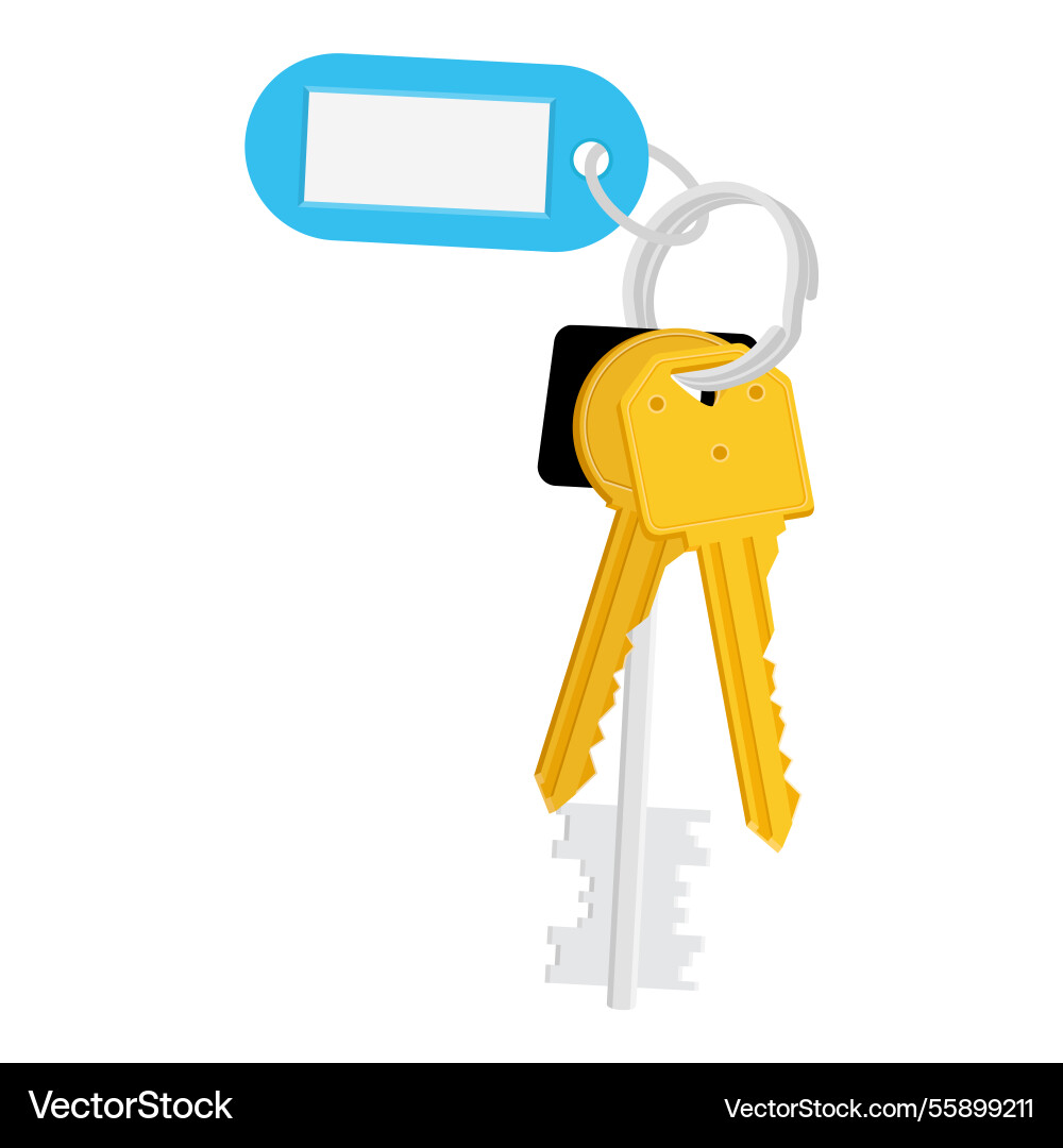 House keys with keychain tag rental concept Vector Image