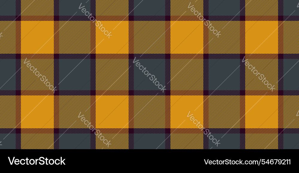 Identity check plaid background new york fabric Vector Image