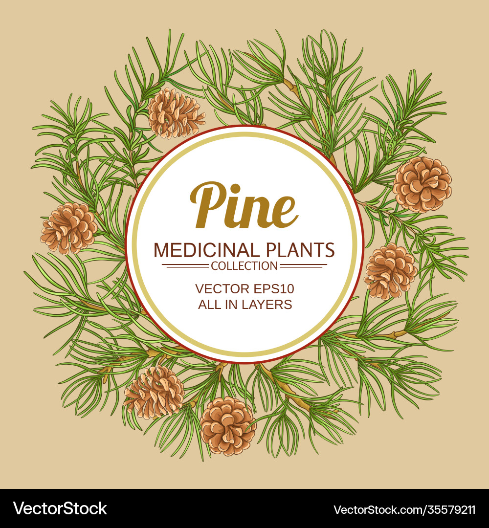Pine frame Royalty Free Vector Image - VectorStock
