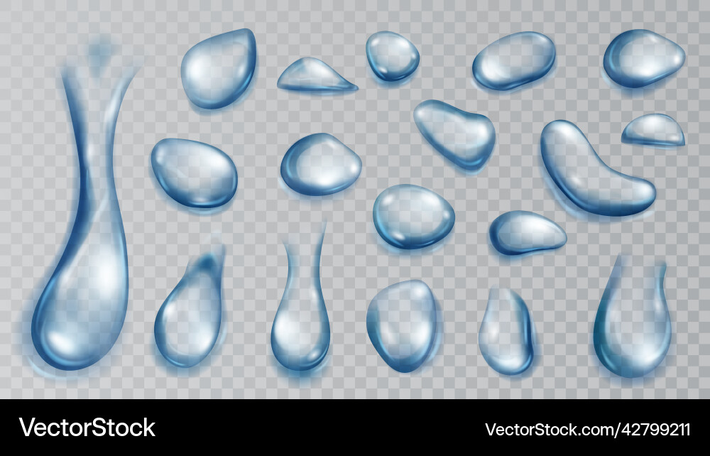 Translucent water drops Royalty Free Vector Image