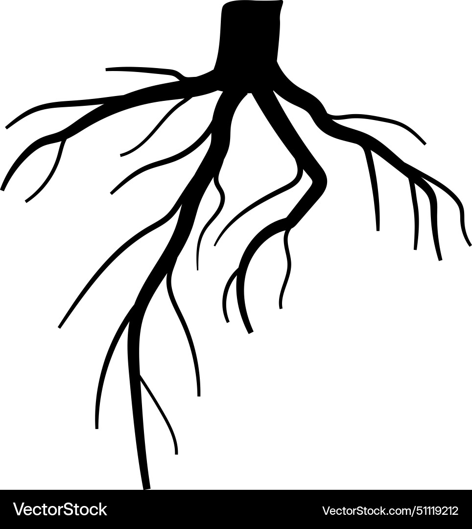 Growth tree root cartoon Royalty Free Vector Image