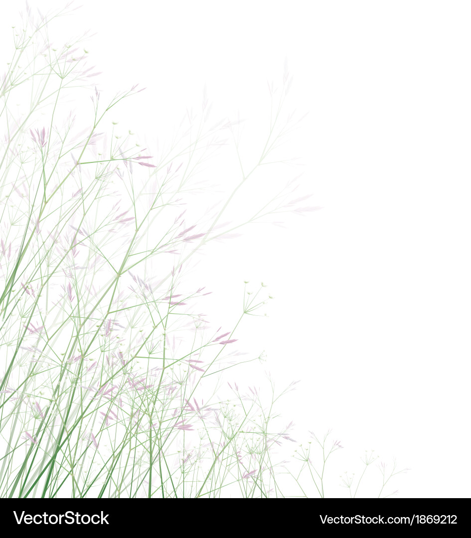 Spring meadow isolated Royalty Free Vector Image