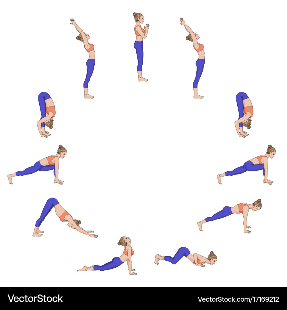 Sun Salutation Surya Namaskara Yoga Sequence Vector Image