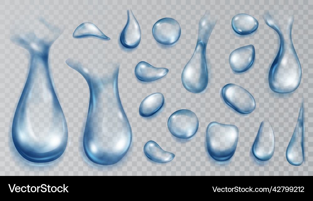 Translucent water drops Royalty Free Vector Image
