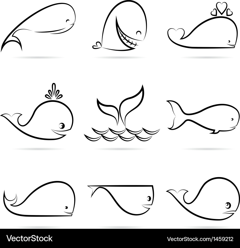 Whale Royalty Free Vector Image - VectorStock