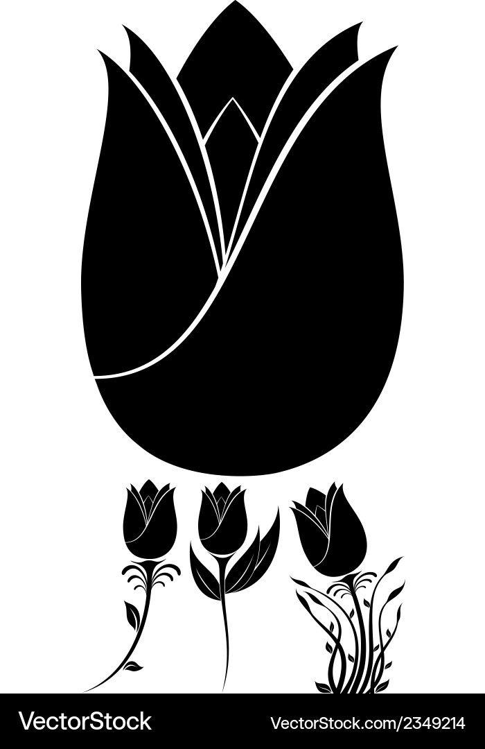 Flowers silhouette Royalty Free Vector Image - VectorStock