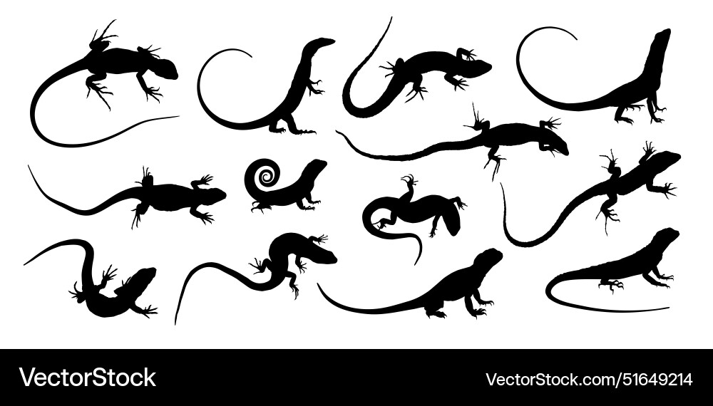 Set of silhouettes lizards Royalty Free Vector Image