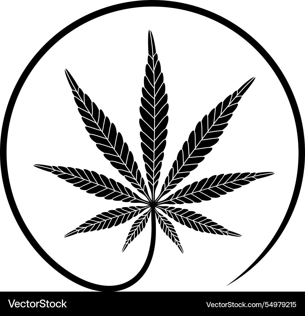 Cannabis Royalty Free Vector Image - VectorStock