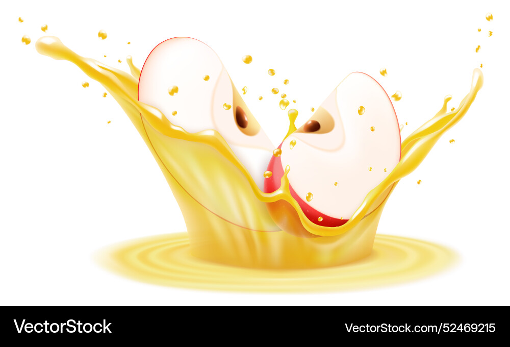 Natural fresh red apple falls into splash Vector Image