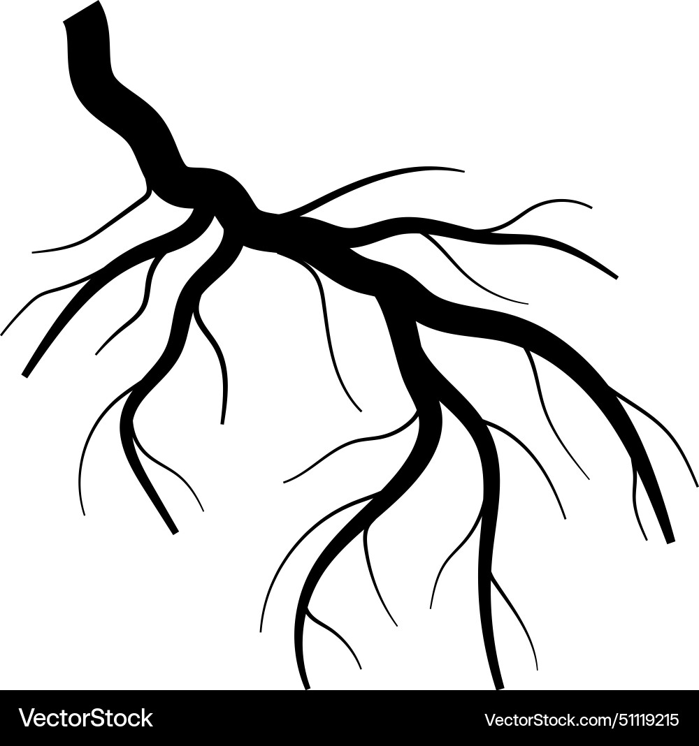 Nutrients tree root cartoon Royalty Free Vector Image