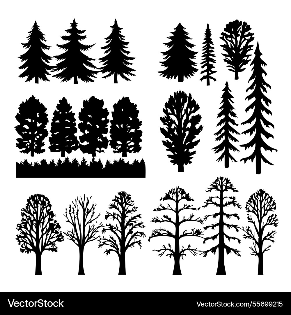 Pine tree silhouettes Royalty Free Vector Image