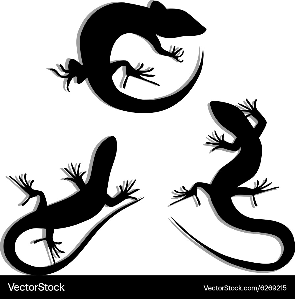 Set of beautiful monochrome lizard Royalty Free Vector Image